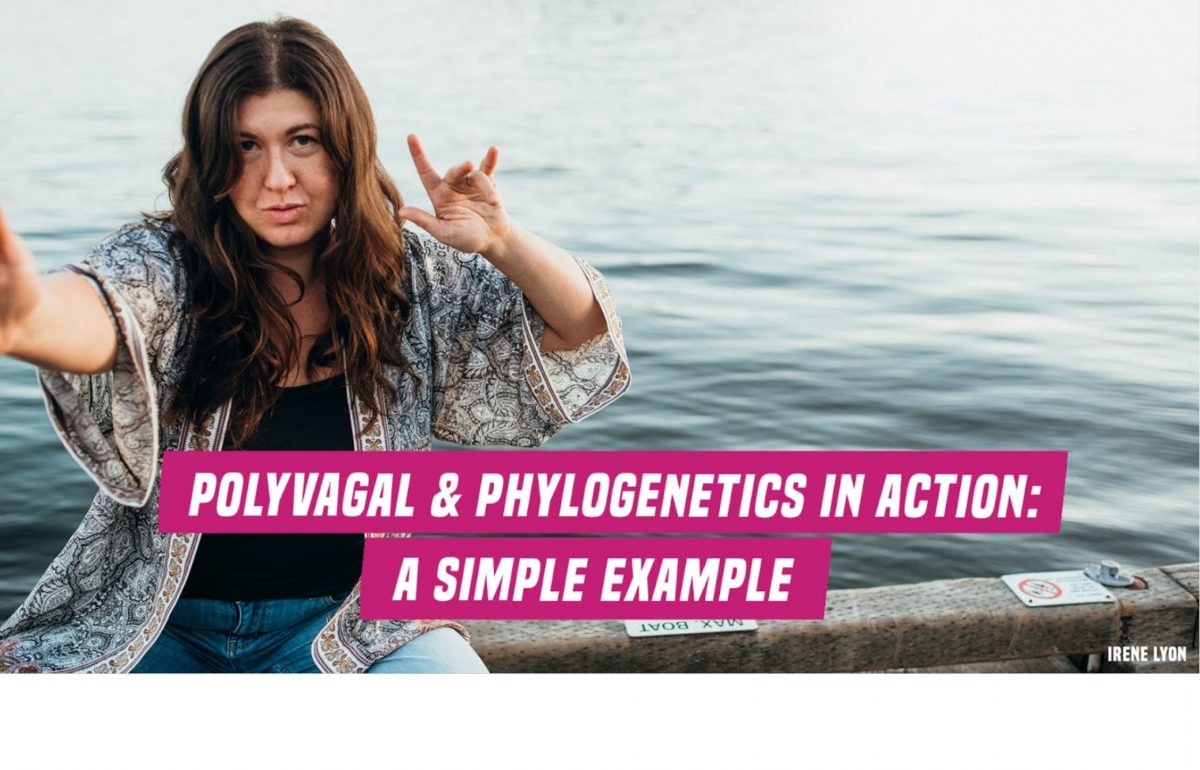 Polyvagal & phylogenetics in action: a simple example - Irene Lyon