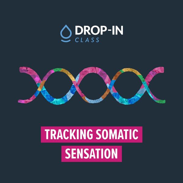 Tracking somatic sensation - Irene Lyon