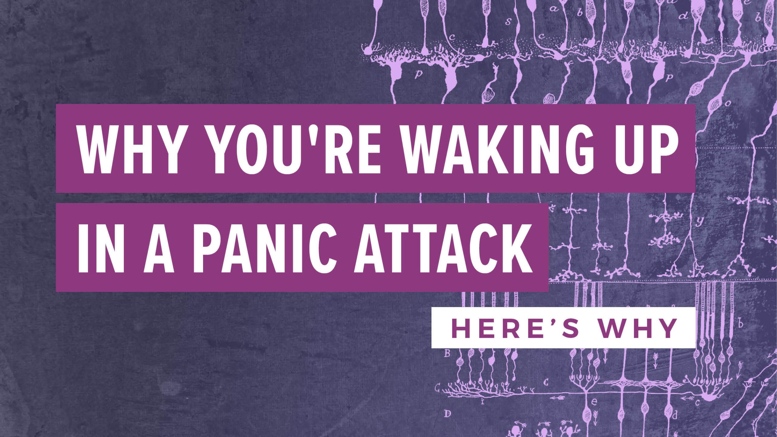 Why You re Waking Up In A Panic Attack Irene Lyon Why You re Waking Up In A Panic Attack Irene Lyon