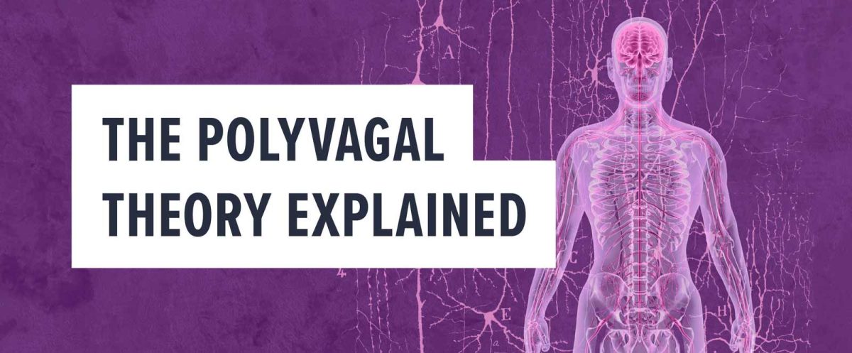 The Polyvagal Theory. Explained. - Irene Lyon