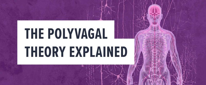 The Polyvagal Theory. Explained. - Irene Lyon