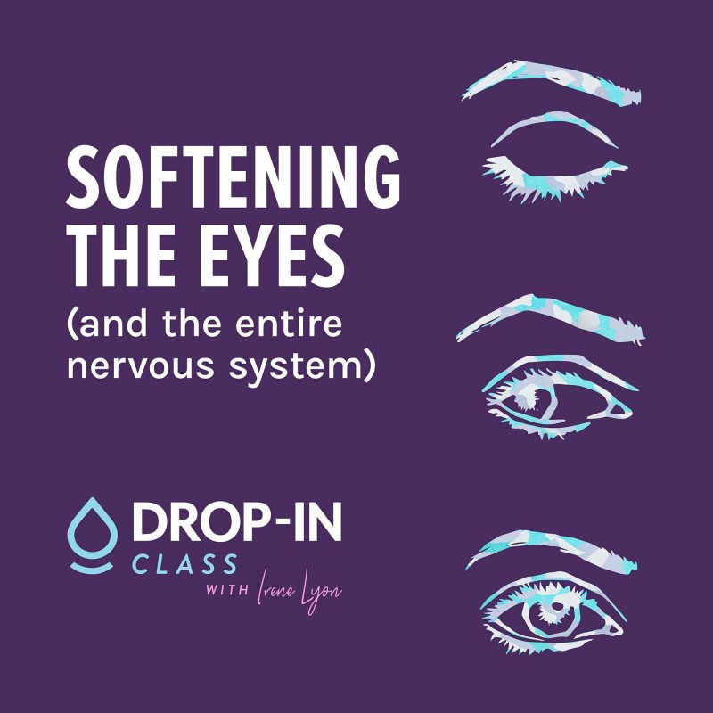 Softening The Eyes (& the entire nervous system) - Irene Lyon