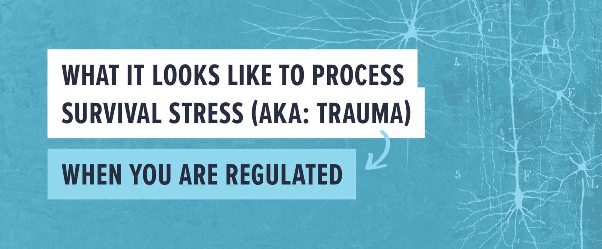 What it looks like to process trauma (AKA survival stress) when you are ...
