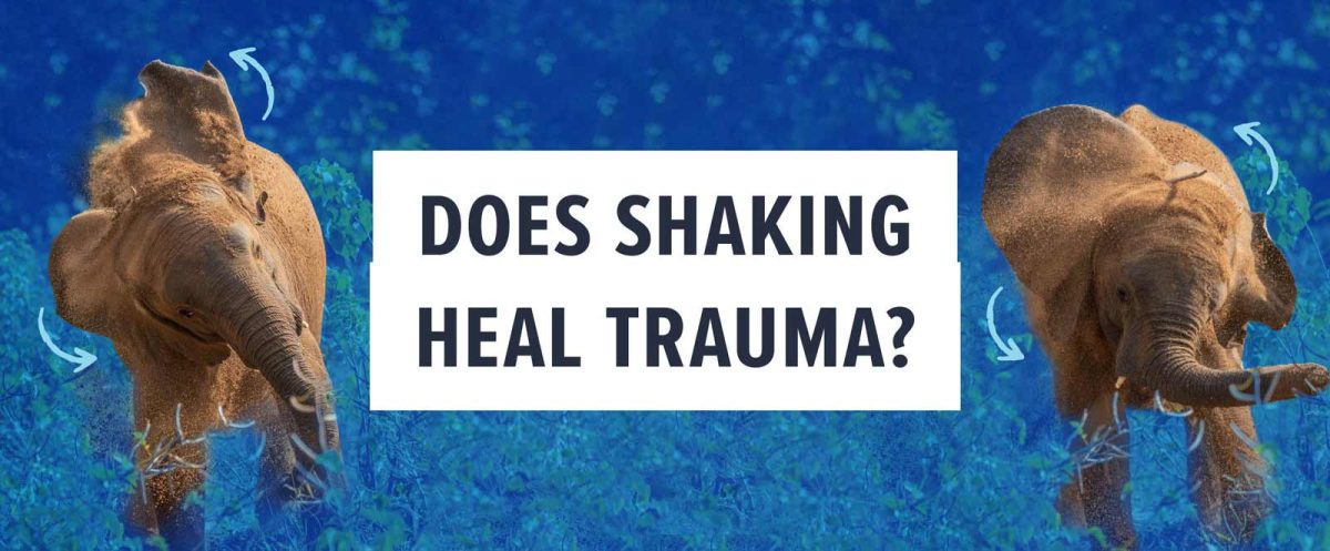 How is Trauma REALLY Released? - Irene Lyon