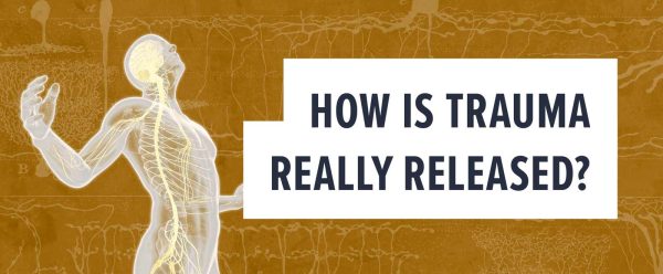 How to properly use breath when healing trauma and the nervous system ...