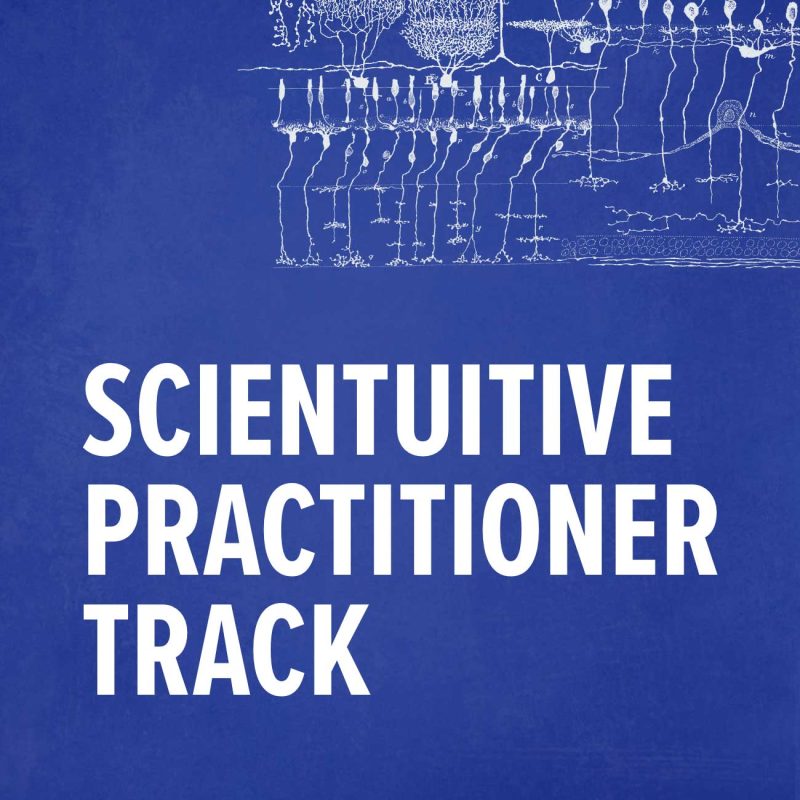 Pendulation: How to Shift Focus To Calm Overwhelm - Irene Lyon