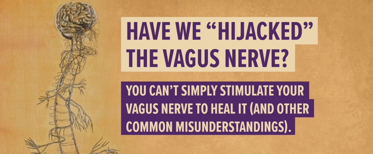 Titration Explained: Never rush trauma healing - Irene Lyon